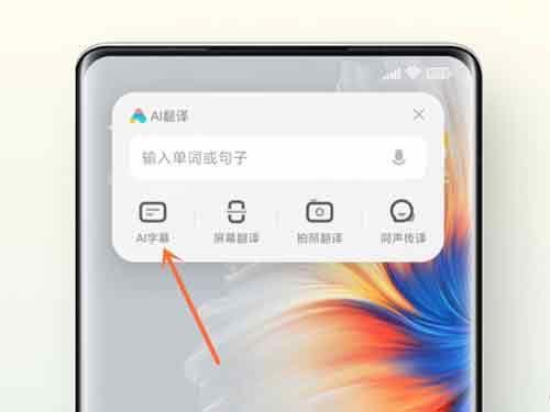 小米自带的播放器加载字幕图标