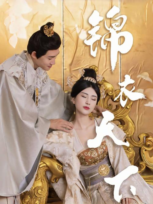 《锦衣天下》免费观看电视剧完整版截图