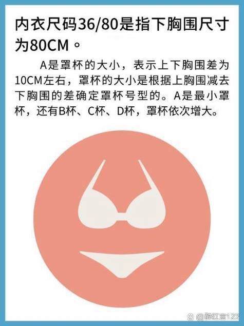 胸36/80有多大