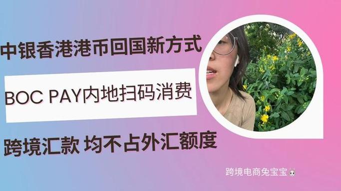 中国银行外汇入账严格截图