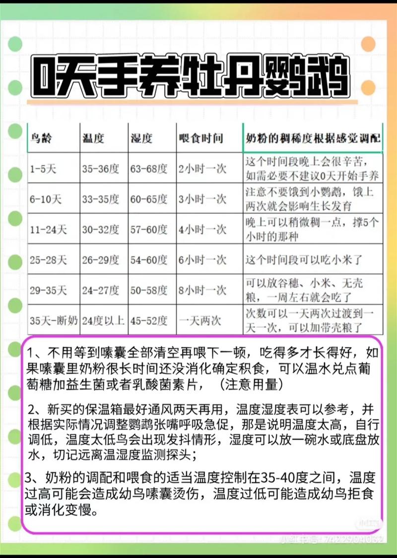 雏鸟奶粉比例图标