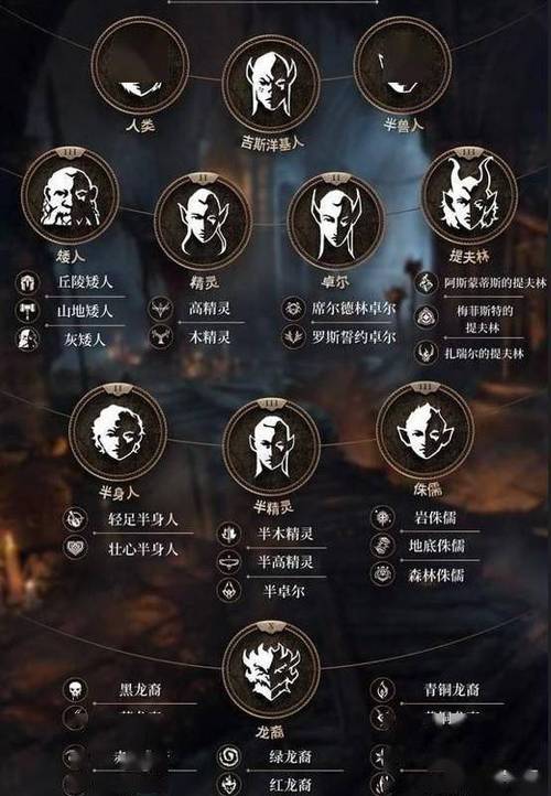 dnd种族介绍图标