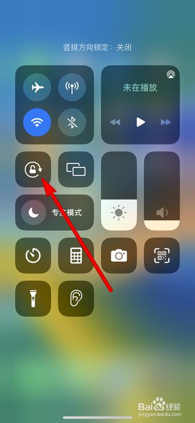 苹果取消自动旋转图标
