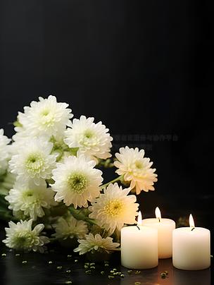 菊花为什么作为祭奠花图标