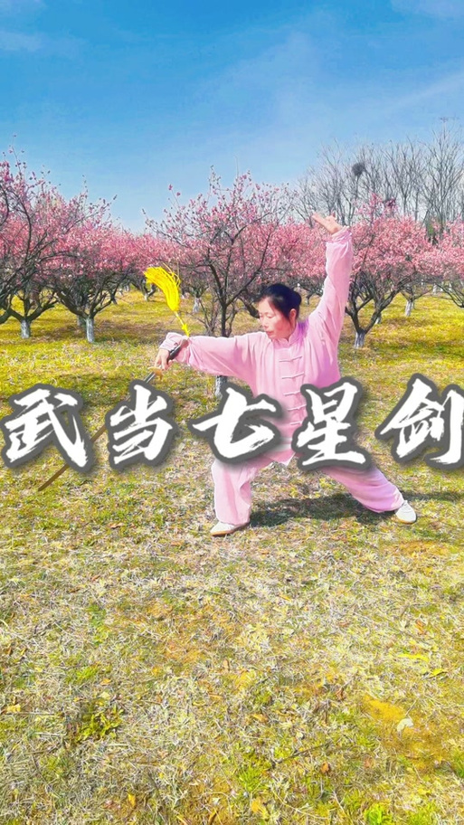 武当七星剑剑谱免费图标