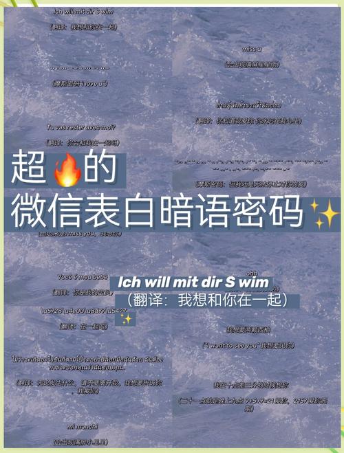 卡密网络用语截图