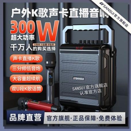 山水话筒音响一体麦克风哪个图标