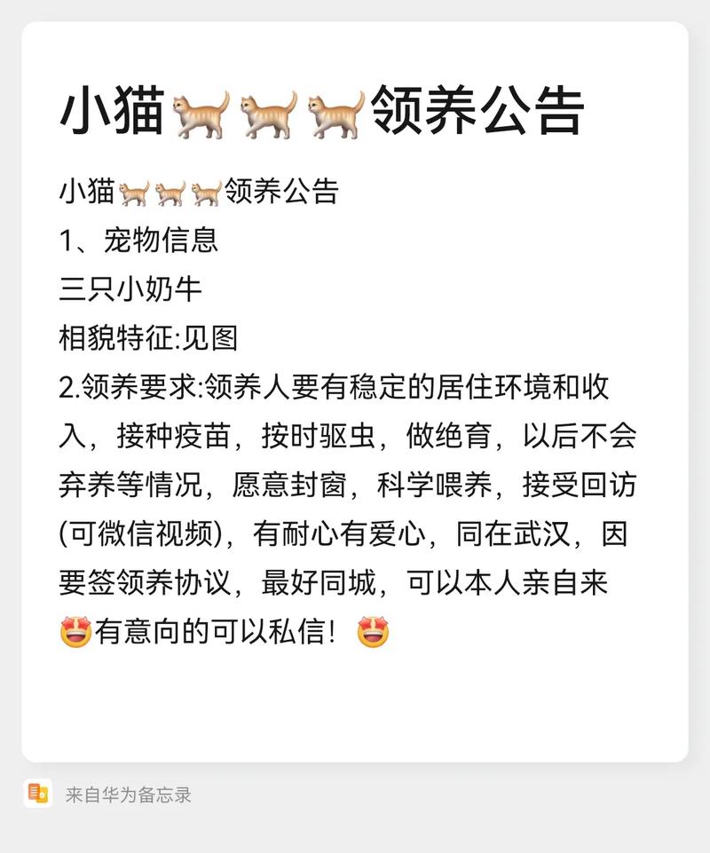 宠物街区块猫最新公告游戏截图
