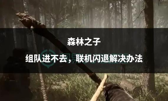 森林进不去别人的联机图标