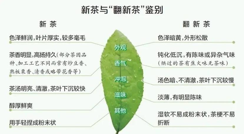 新茶好喝还是旧茶好喝图标