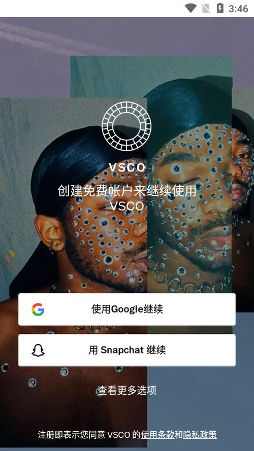 vsco免费破解版截图