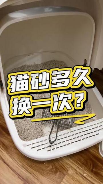 一般猫砂多久换一次图标