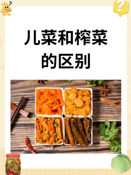 儿菜和榨菜是一个菜吗截图