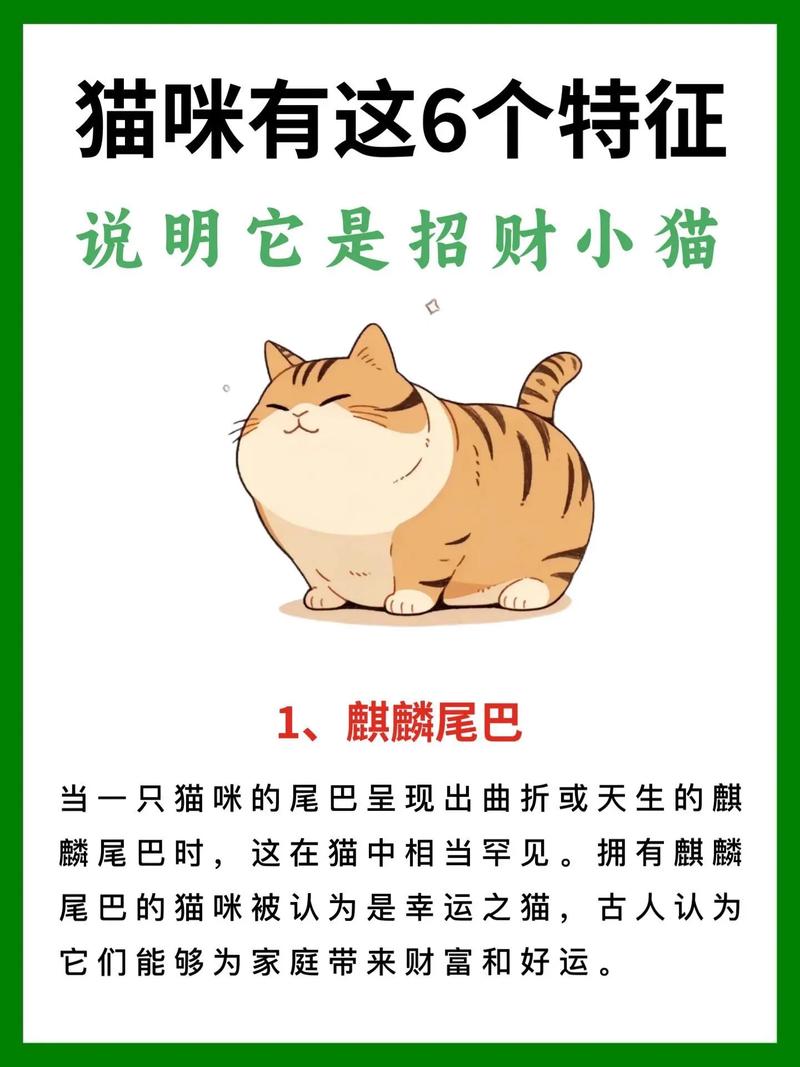 生财喵怎么打不开图标