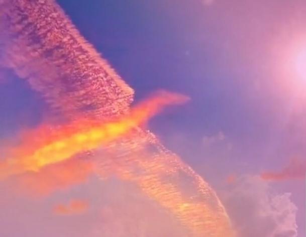 凤凰云的灵性有多强图标
