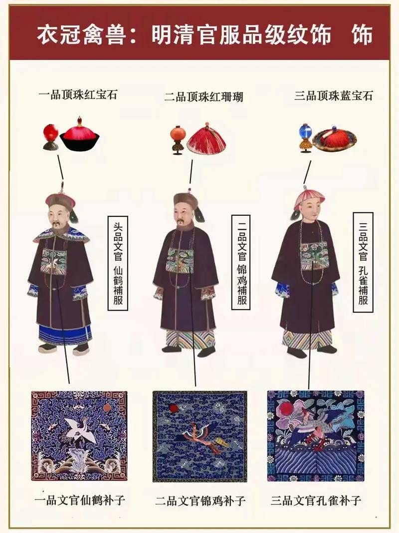 官服和b服有什么区别图标