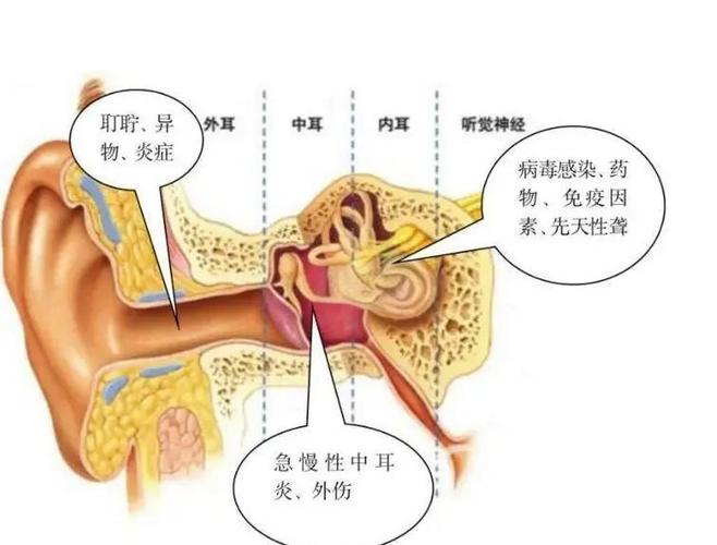 速耳轻药多少钱一盒游戏截图