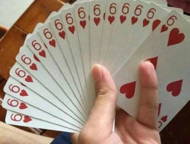 表情包666啥意思图标