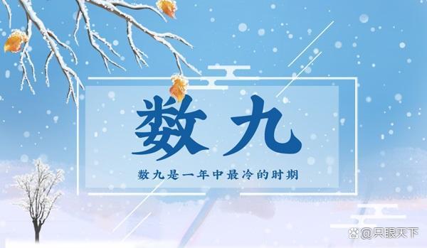 今日是几九第几天图标
