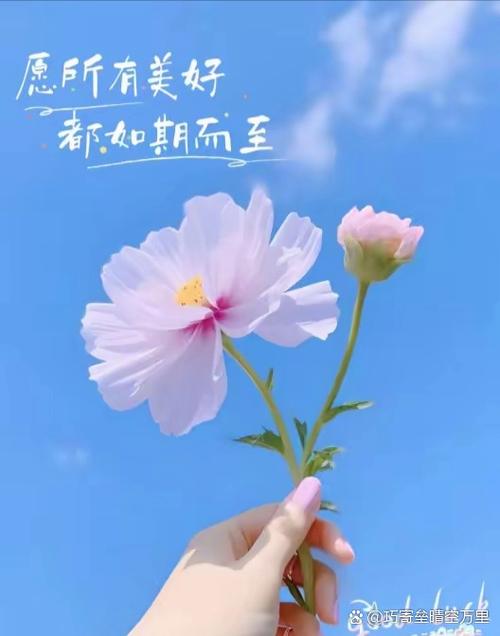 太阳能app官方下载图标