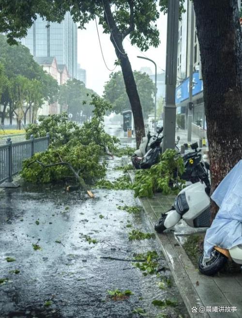 台风小视频图标