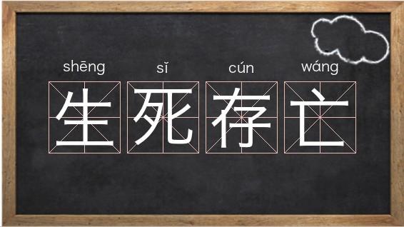 生或死生存付费2023年最新一期截图