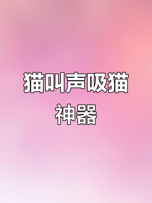 猫咪叫声吸引猫咪过来召唤小猫图标