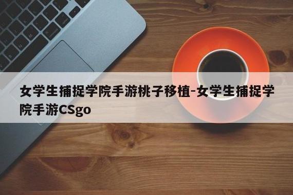 桃子移植放学后的捉迷藏游戏图标