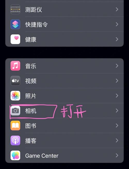 苹果12相机怎么设置图标