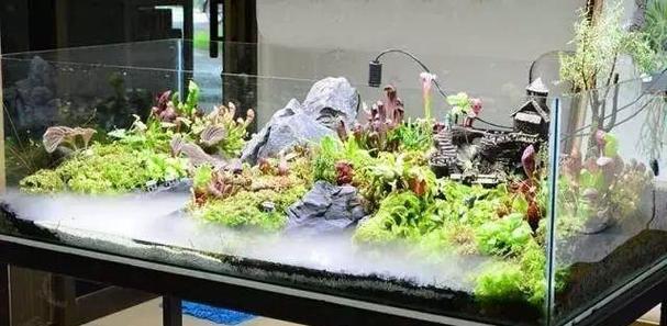 水族论坛图标