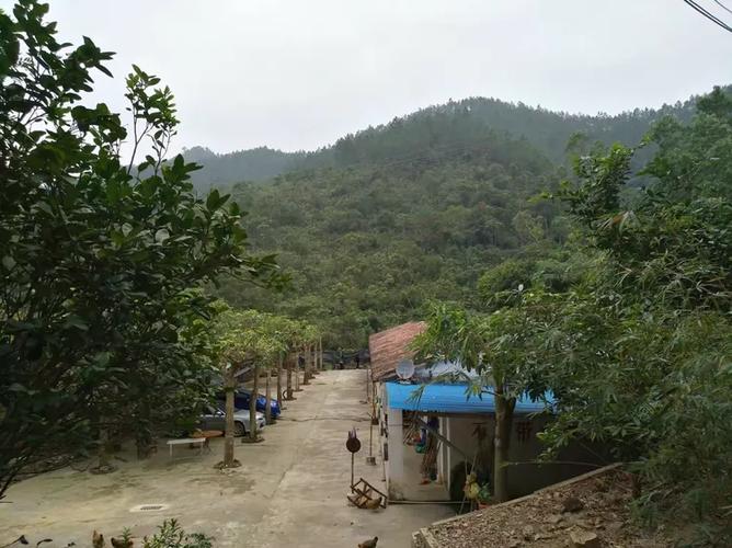 东莞向阳花山庄图标