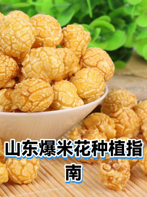 爆米花机器大全和价格 全套图标