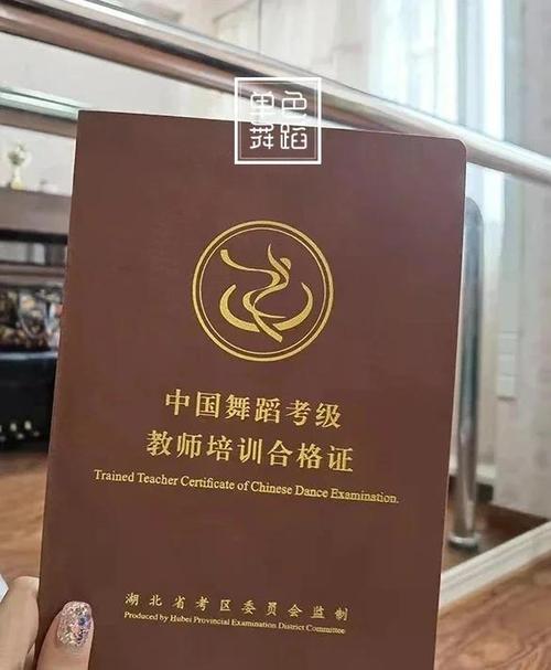 中国舞蹈考级最高级截图