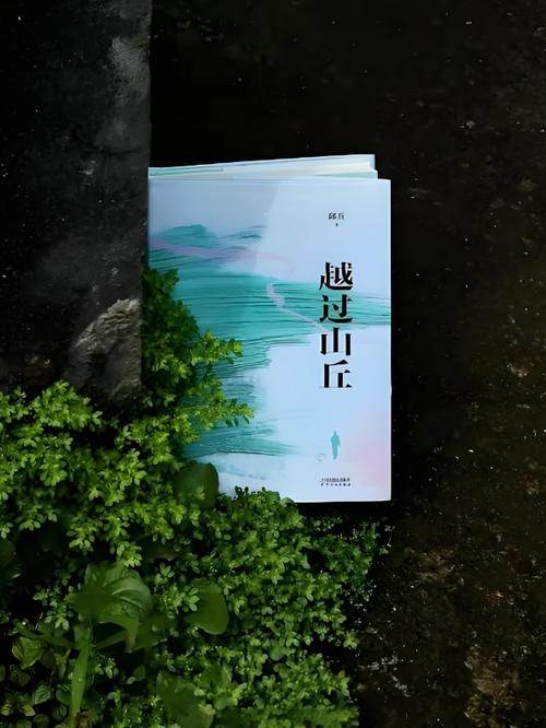 文娱写山丘的小说图标