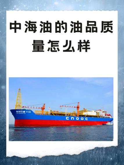 中海油的油优缺点图标