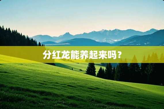 养分红龙赚钱是真的吗图标