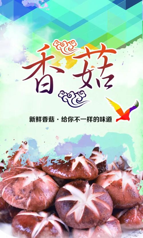 香菇广告词大全集图标