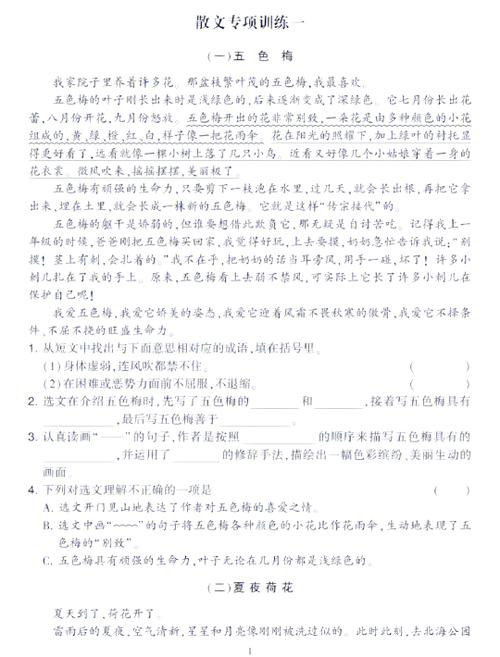 如何训练阅读理解能力图标
