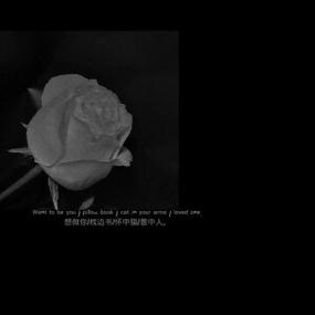 女生把朋友圈背景变成黑色