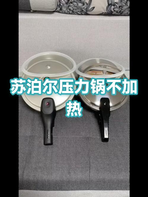 苏泊尔压力锅e0是什么故障图标