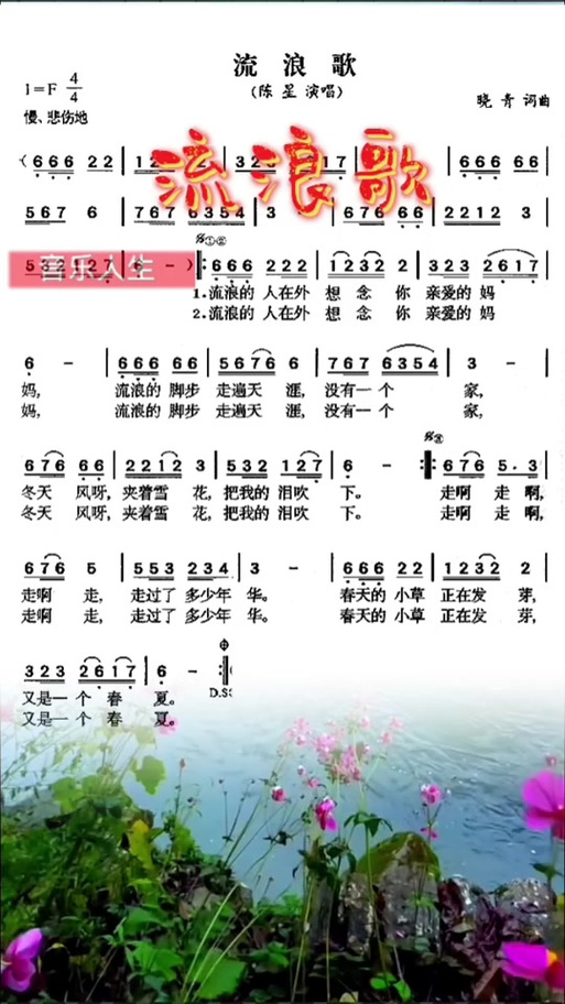 歌曲流浪歌原唱图标