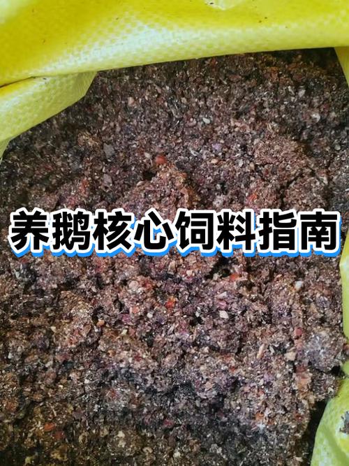 养大鹅的成本和利润图标