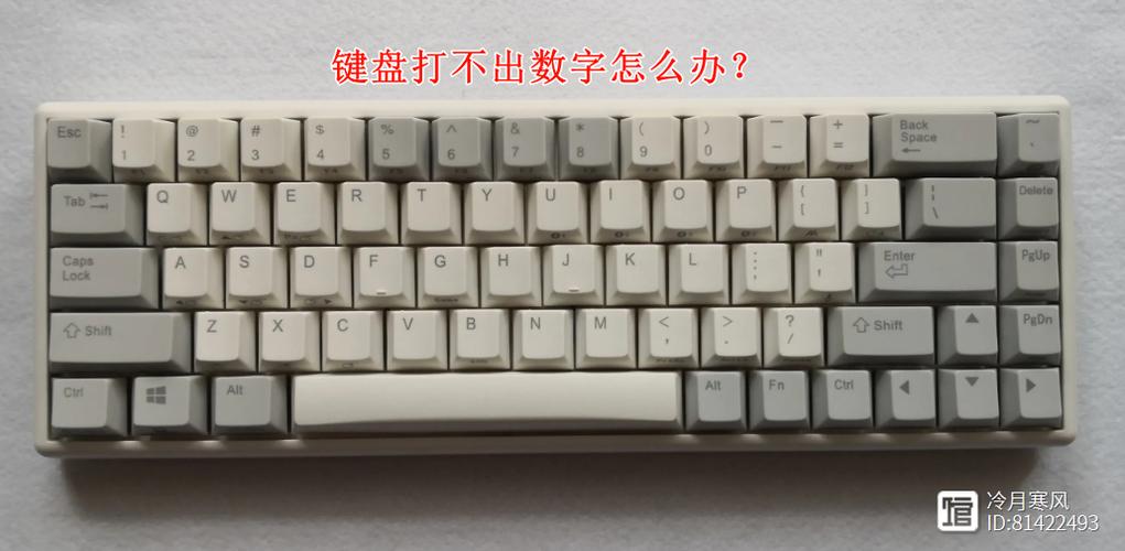 电脑输不上数字怎么回事