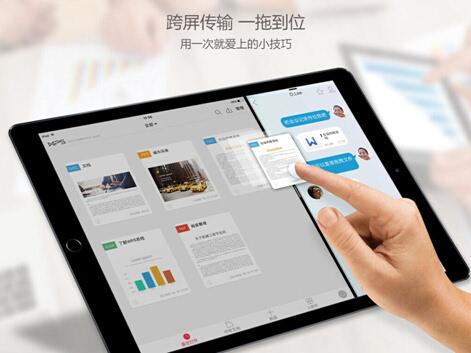 wpsapp pro汉化版下载截图