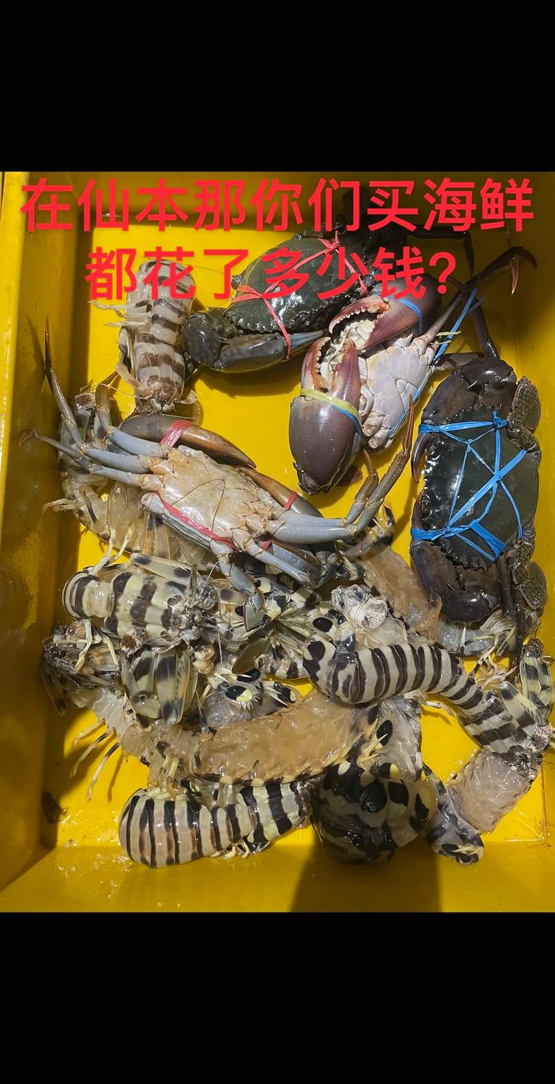 皮皮蟹磕泡泡录音图标