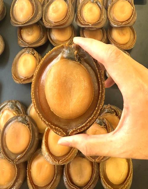 吉品鲍图标