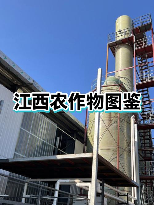 江西农啇