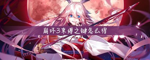 崩坏3实名认证步骤图标