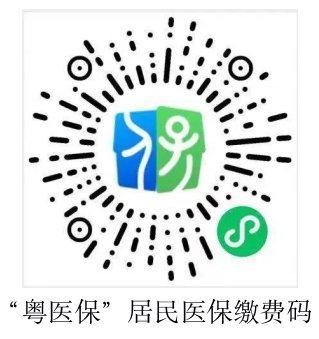 “粤医保”小程序图标