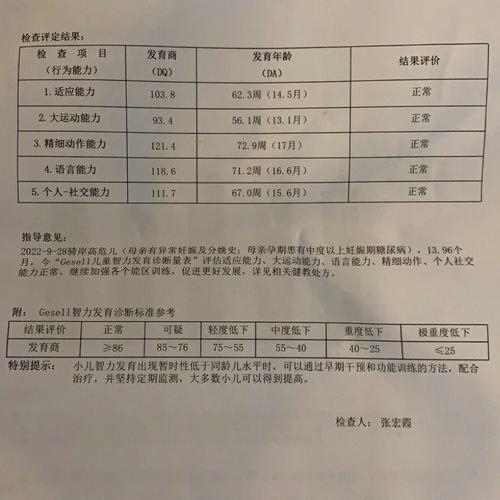 ges评价什么意思截图